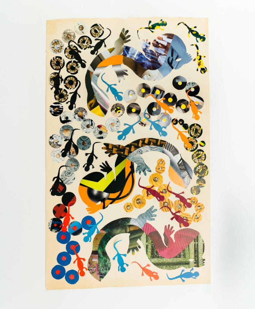 Giant Salamanders – Susan Colvin